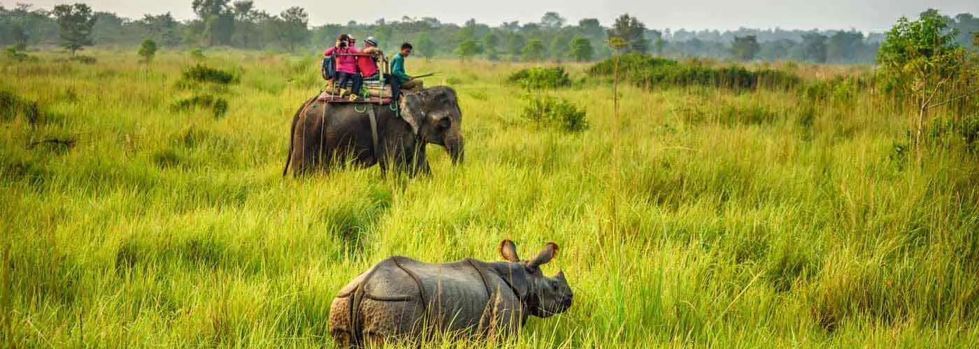 India Activities & Experiences | Top Things to Do in India