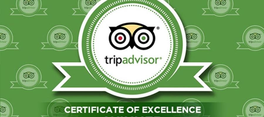 Tripadvisor Certificate Of Excellence Logo